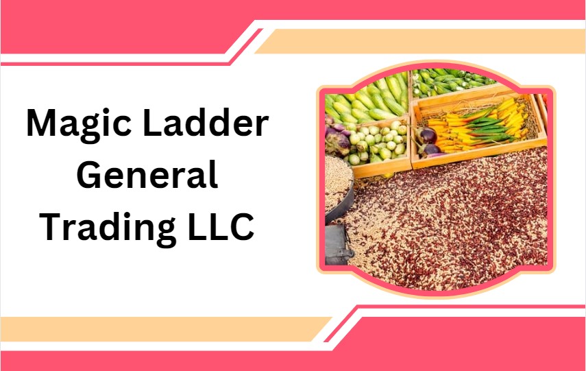 Top 10 Trading Companies in Dubai- Driving the Economy - UAE Business Blog