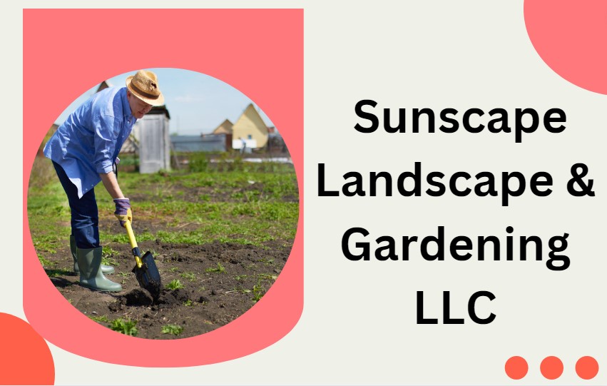 Top 10 Landscaping Companies in Dubai- Creating Green Dreams - UAE Business Blog