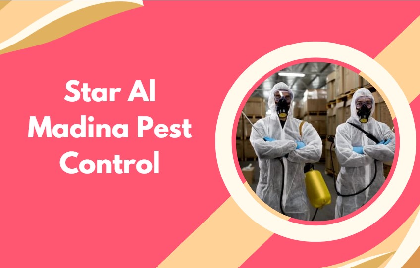 Top 10 Pest Control Companies in Dubai - Say Goodbye to Pests- UAE ...