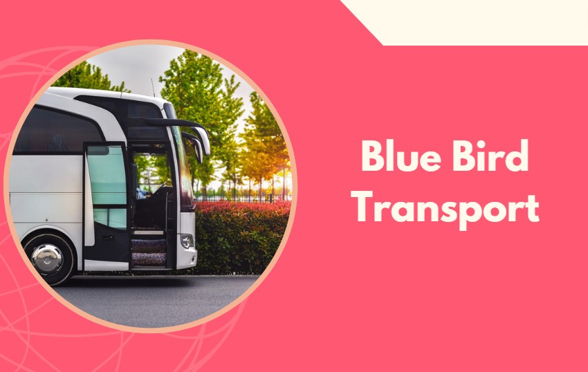 Top 10 Transport Companies in Sharjah - Hassle-free Transportation ...