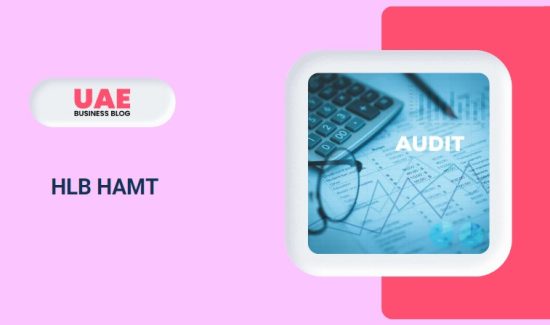 Auditing Companies in Dubai - Top 10 Companies to Handle Your Accounts - UAE Business Blog