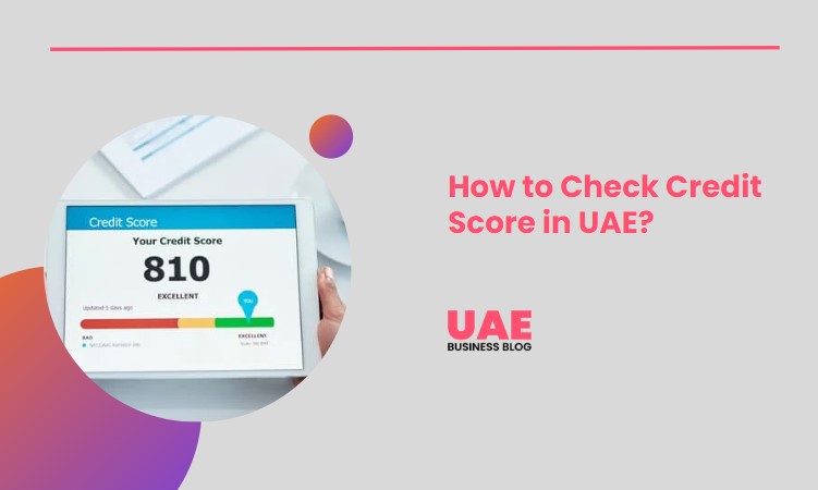 How to Check Credit Score in UAE? – Guide on Credit Score - UAE ...