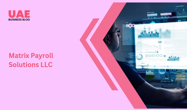 Top 10 Software Companies in Sharjah - UAE Business Blog