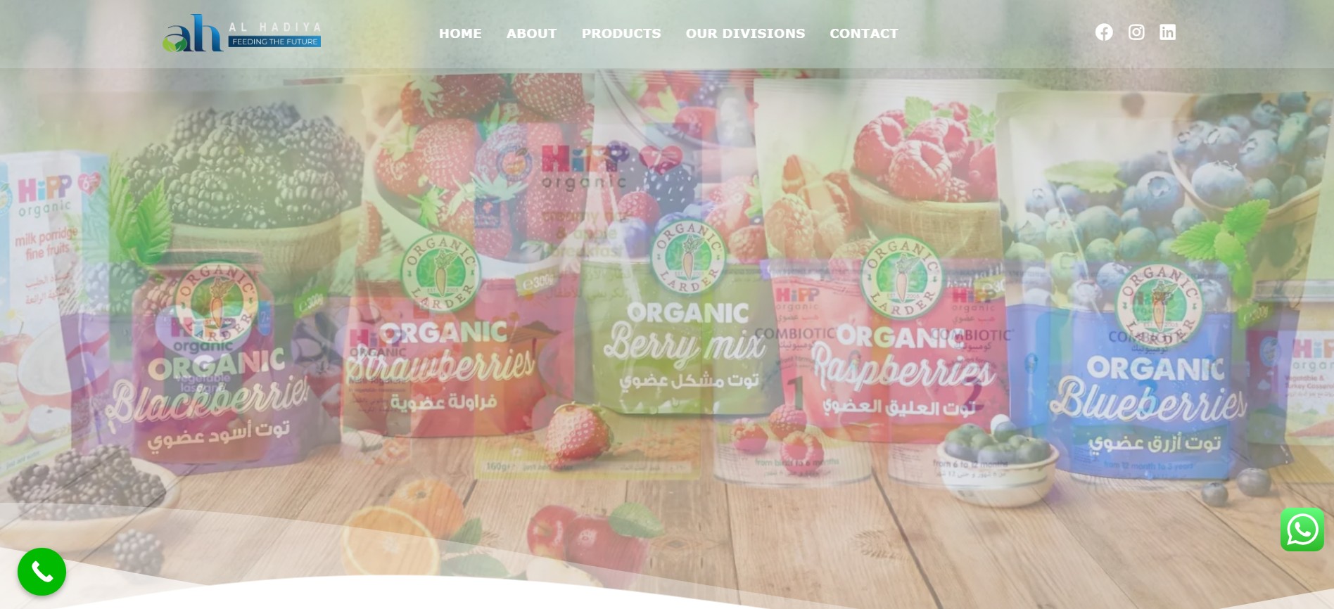 Top 10 Foodstuff Trading Companies in Dubai - UAE Business Blog